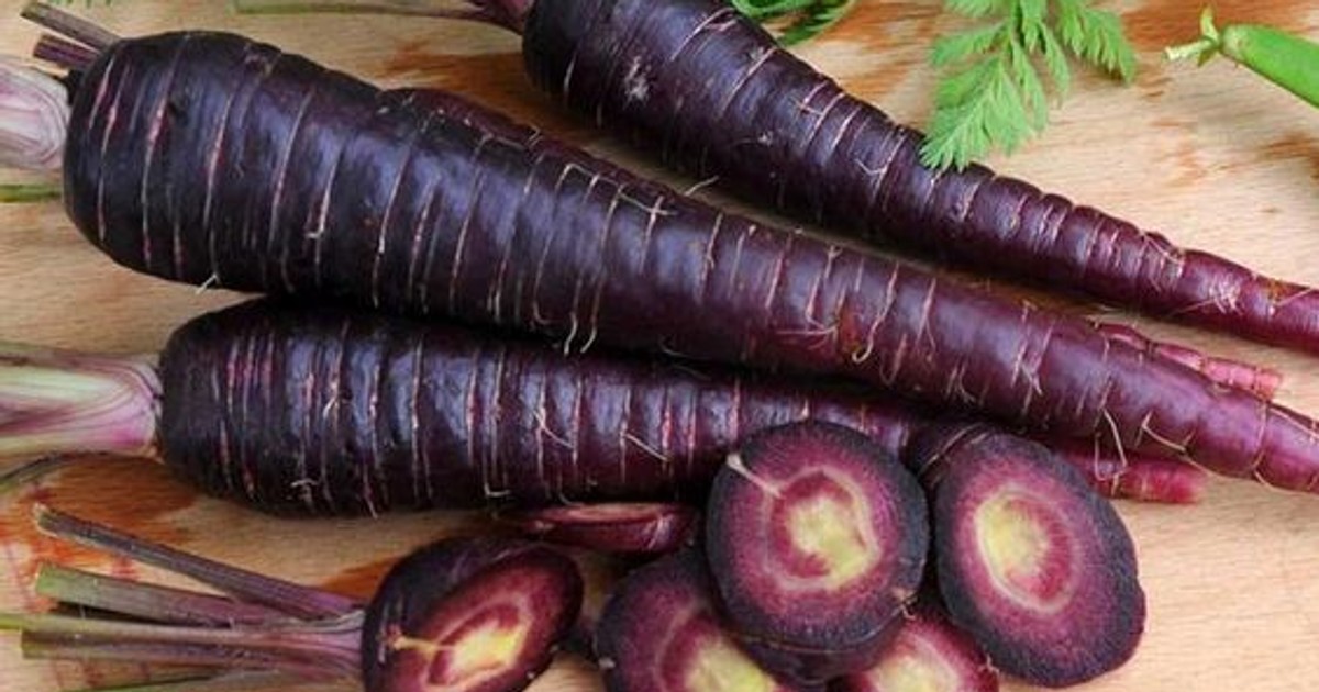 Did you know carrots were originally purple, not orange? Here's how | Pulselive Kenya