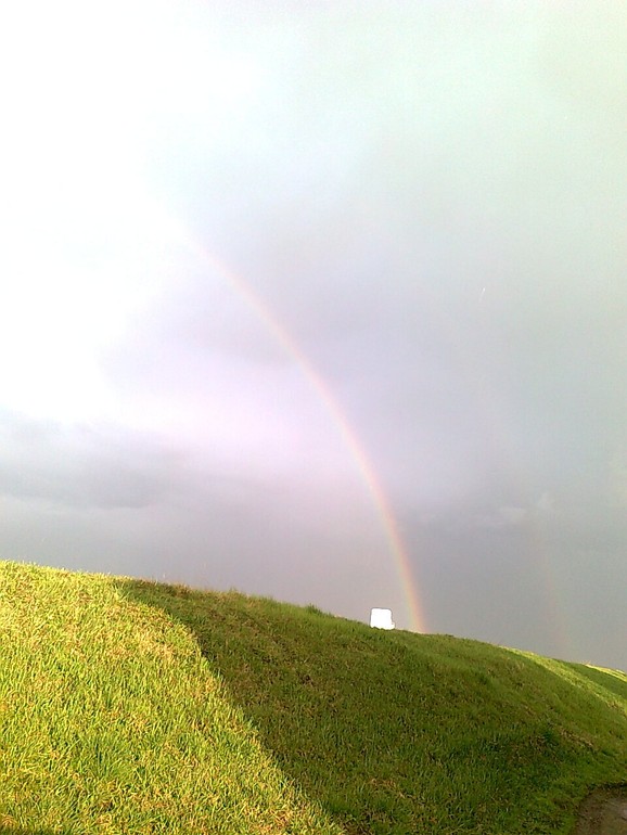 Srbija cveta: Neverovatne slike proleća koje su nam poslali čitaoci od ...