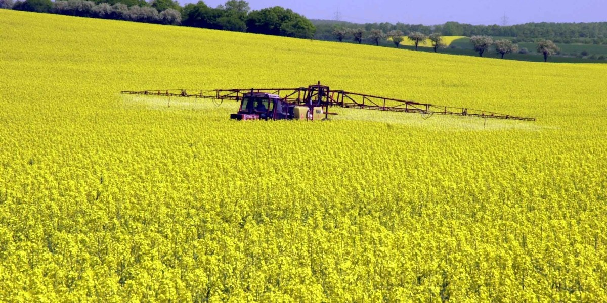 Debata Onetu i WWF Polska. Pestycydy w rolnictwie. "Wystarczy jeden ...