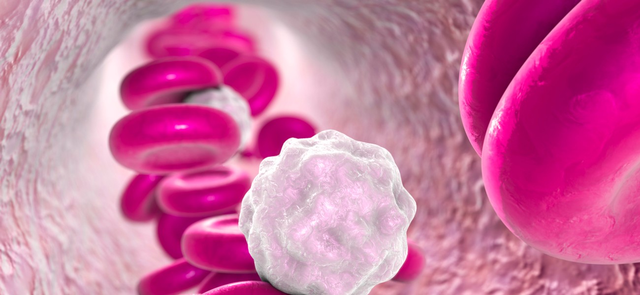 Neutrofile: NORMY. Co oznacza podwyższony lub obniżony stan neutrofili