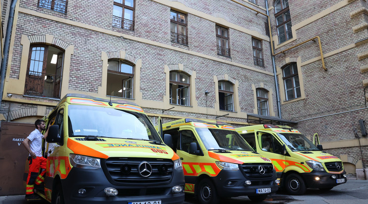 Elkészült az OMSZ jelentése a Gálvölgyi-féle eset miatt: Győrfi Pál ...