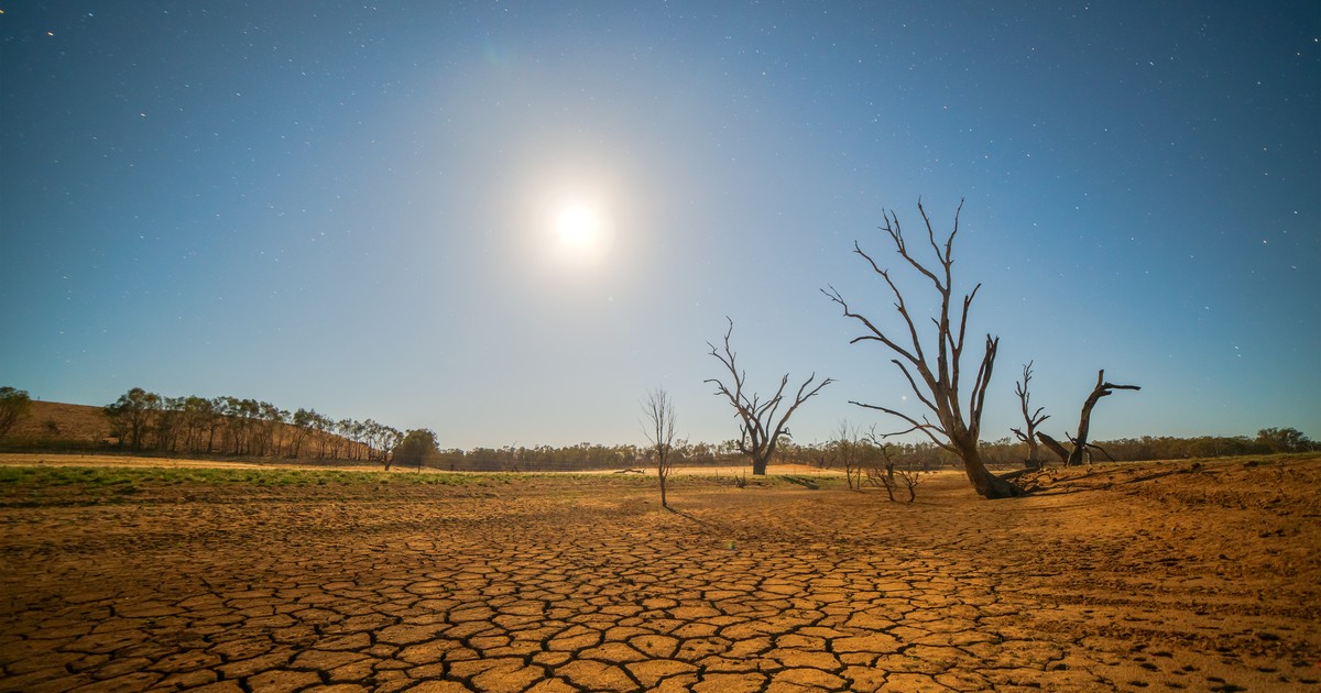 Susza w Polsce. Hydrolog: może być jedną z najgorszych - Wiadomości