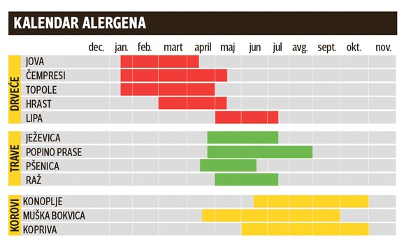 KALENDAR ALERGENA Polen ovih dana ljudima koji su alergični pravi pakao ...
