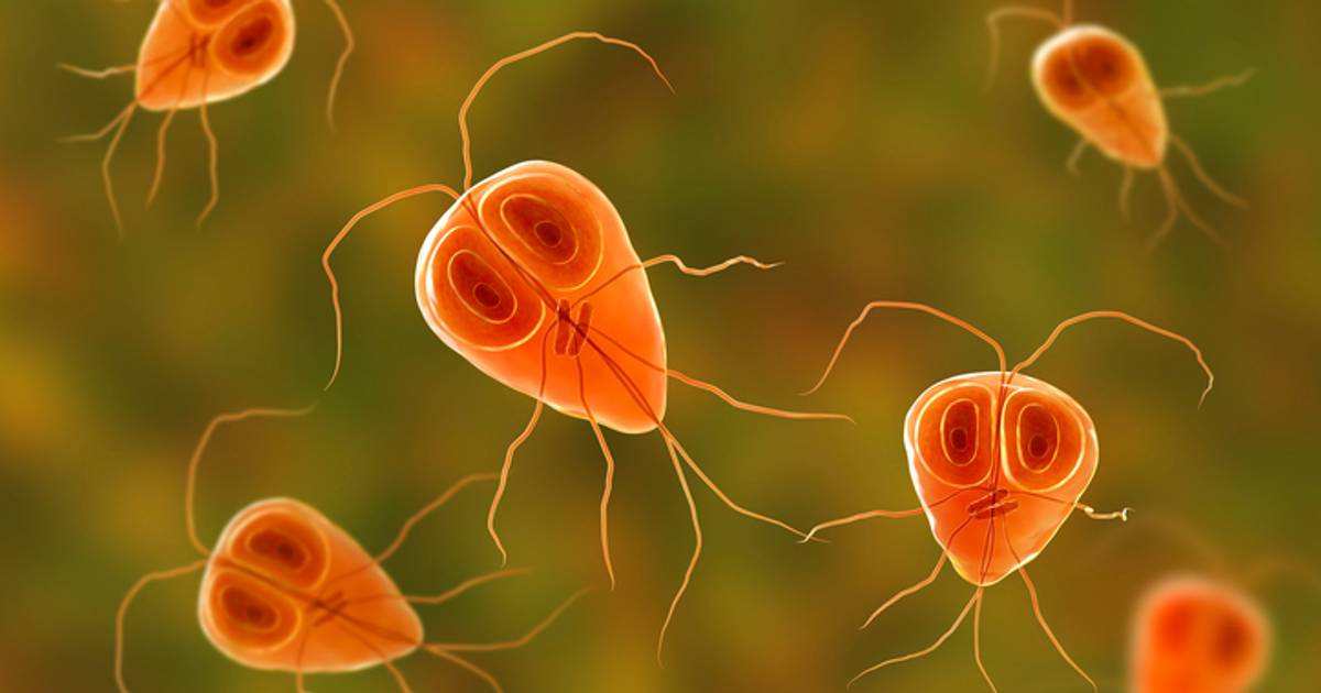 Lamblia – przyczyny, objawy, leczenie | Ofeminin