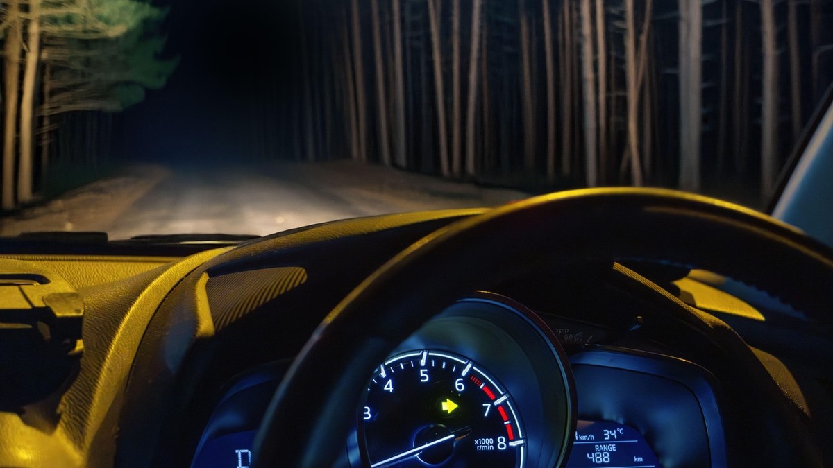 Šta da radite ako udarite divljač na putu i ko je u obavezi da plati ...