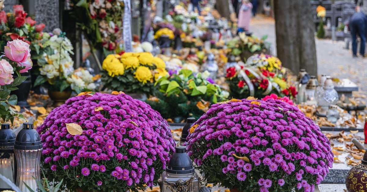 Wszystkich Świętych. Ile trzeba zapłacić za znicze i kwiaty? - Forsal.pl