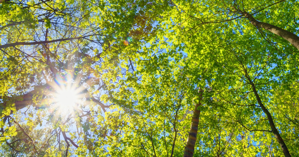 Jaka pogoda czeka nas we wtorek 18 września 2018 roku? - Wiadomości