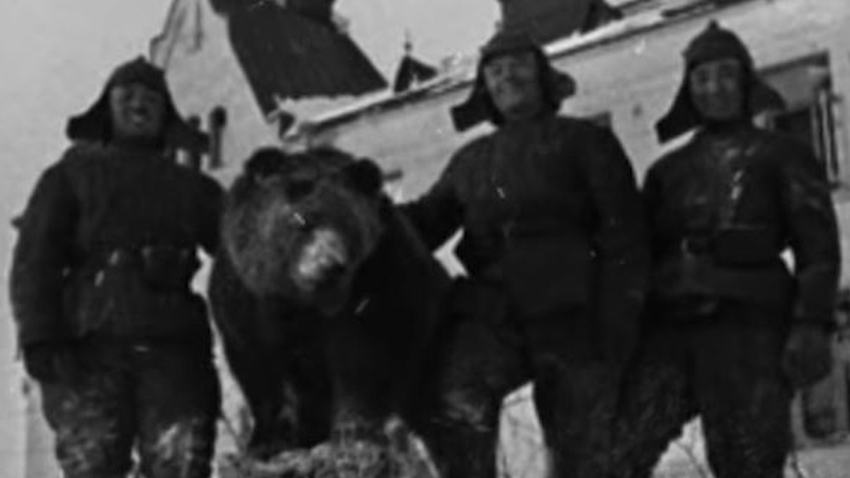 PRIJATELJ I RATNIK: Vojtek je medved koji je nagrađen vojnim ČINOVIMA ...