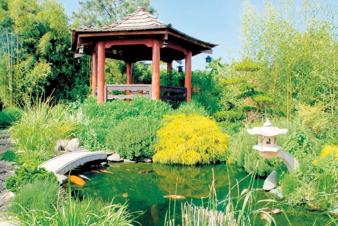 Napravite japanski vrt u svom domu - Zena.rs