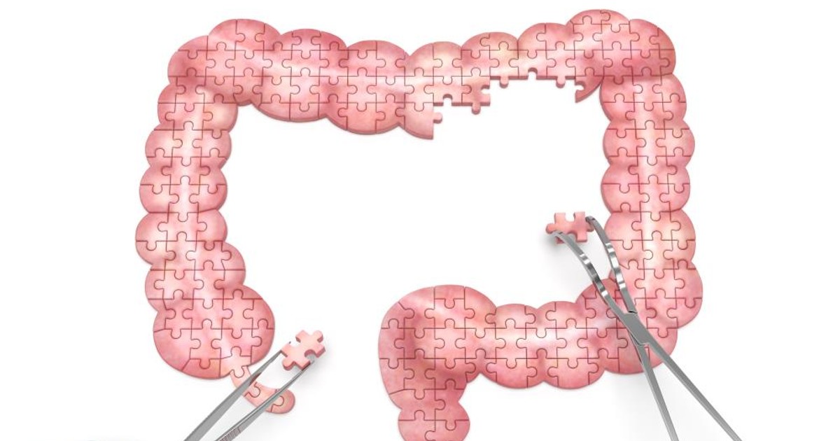 Jelito grube - budowa i funkcje