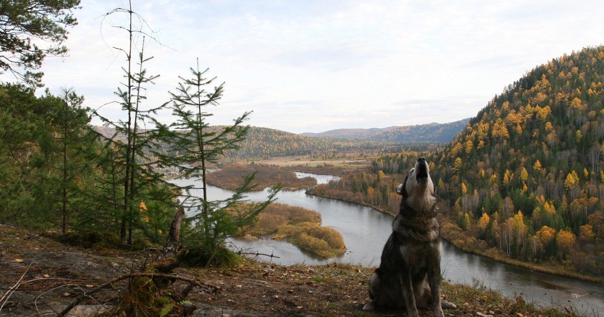 Syberia - Wiadomości