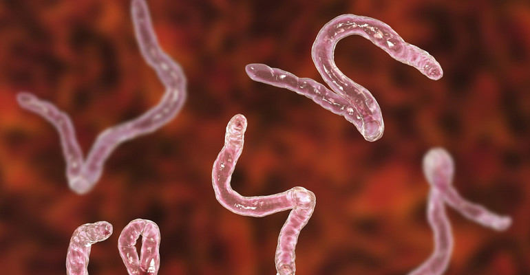 Giardioza (lamblioza)