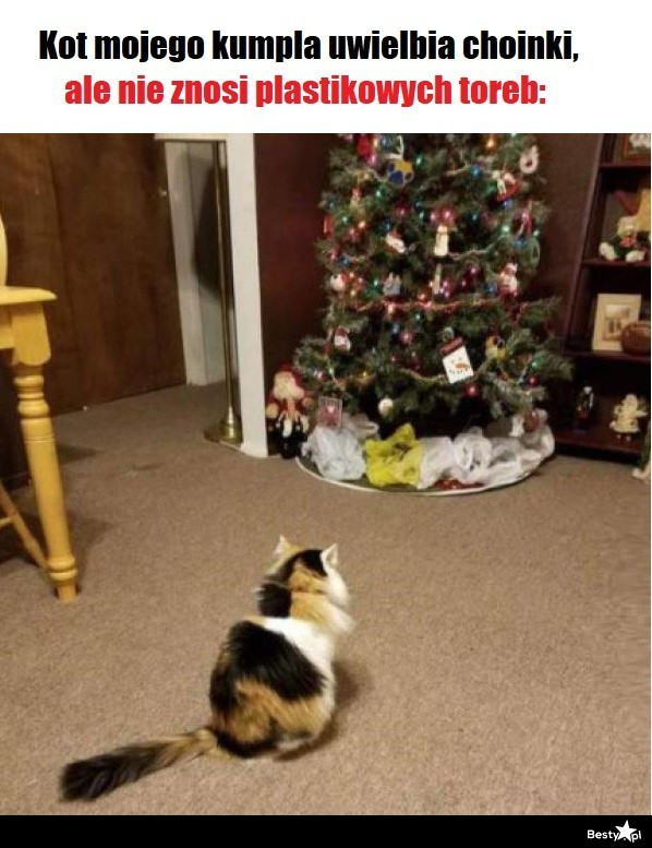 Kot i choinka to zawsze katastrofa? Najlepsze świąteczne memy - Dom