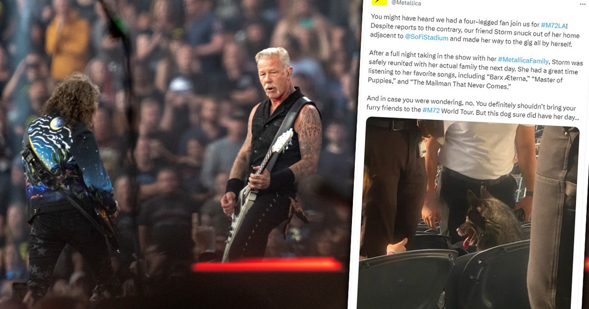 Metallica. Niezwykły fan na koncercie w Los Angeles. Muzycy zachwyceni