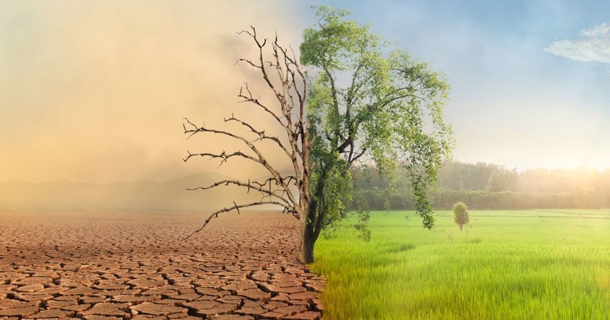 Prof. Karaczun: wciąż mamy szansę uniknąć katastrofy klimatycznej - Kobieta