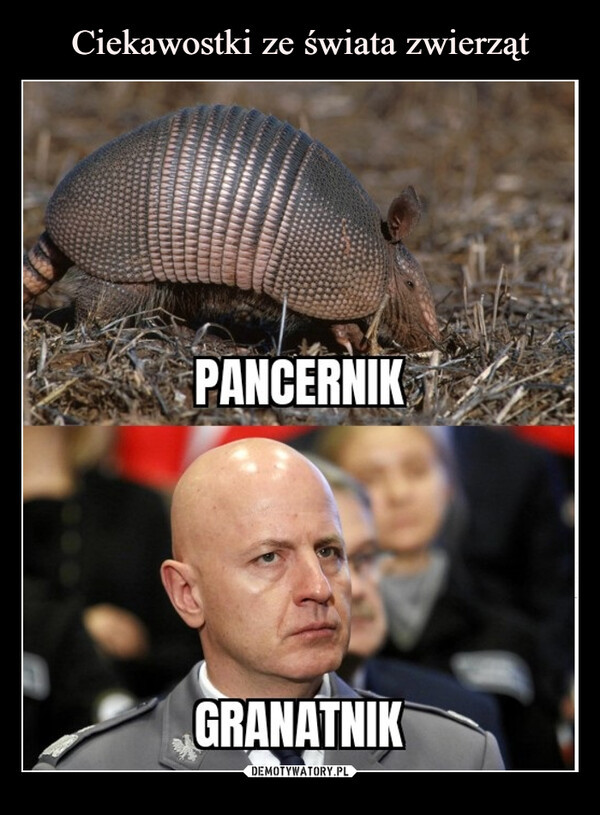 Jarosław Szymczyk odchodzi z KGP. W sieci wciąż głośno o granatniku ...