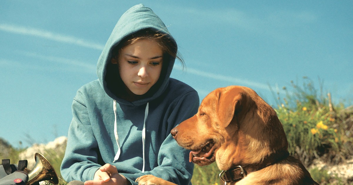 "Biały Bóg": sfora na planie - Film