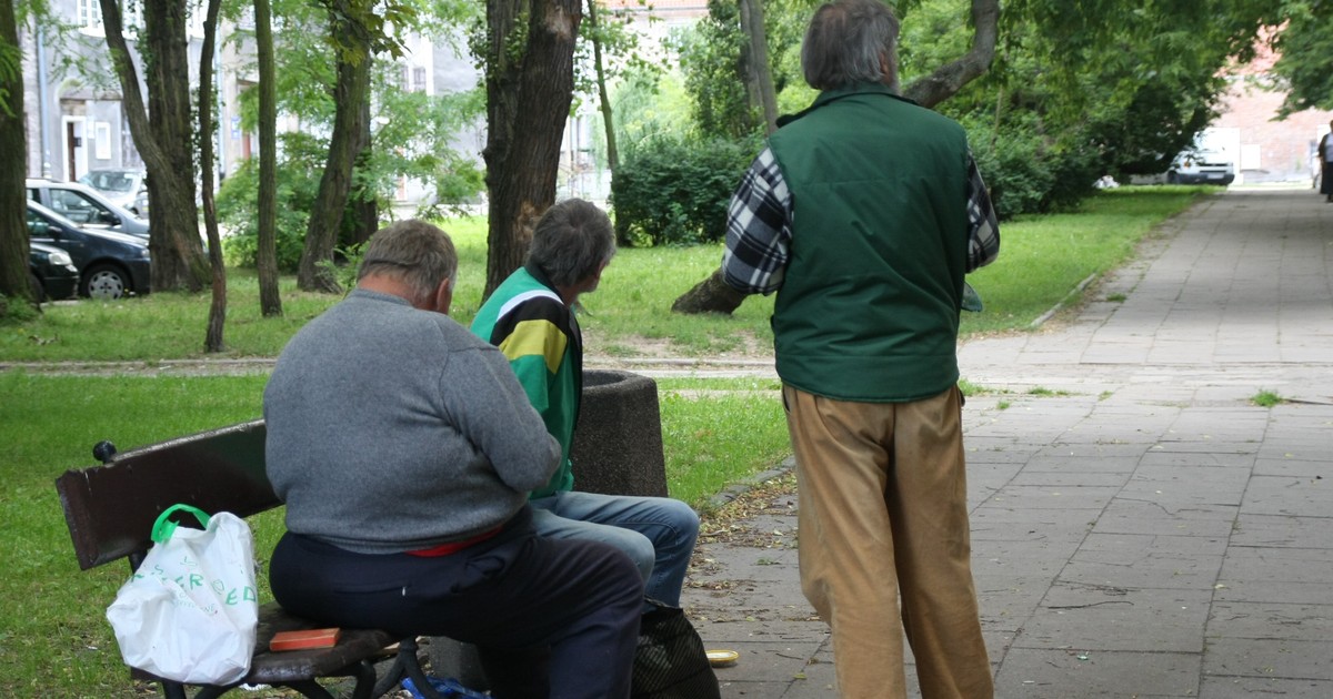 Menele rządzą Gdańskiem