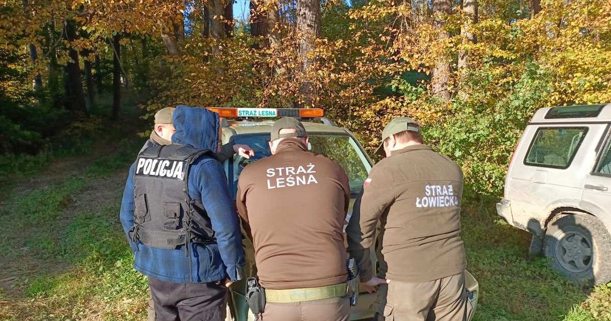 Na kłusowników padł blady strach. Zaczęli od dyskretnej obserwacji. Na kłusowników padł blady strach. Zaczęli od dyskretnej obserwacji.