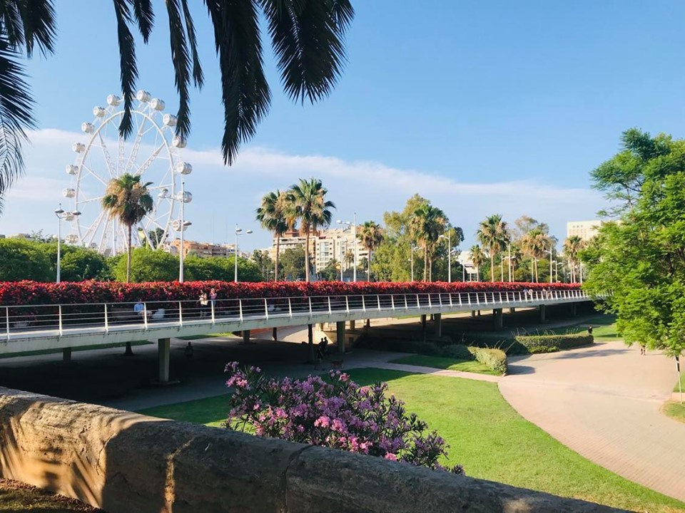 Ogród Turii w Walencji. Powstał w dawnym korycie rzeki - Podróże