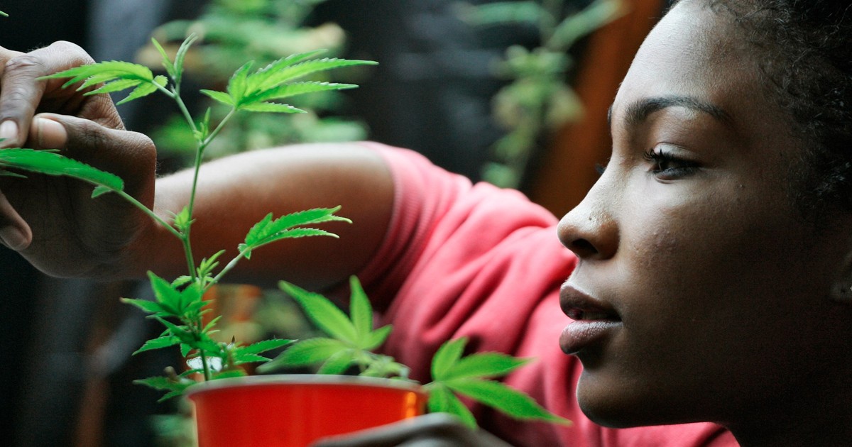 The legal weed market is growing as fast as broadband internet in the ...