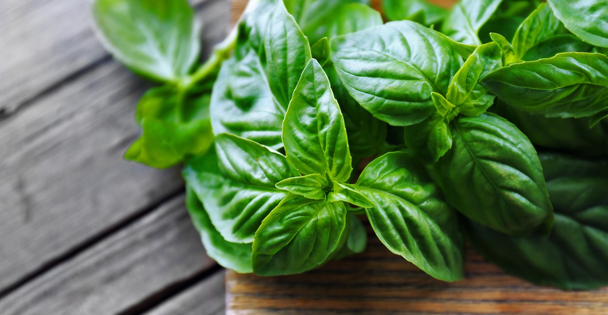 Bazylia - rodzaje, właściwości zdrowotne oraz zastosowanie. Jak hodować ...