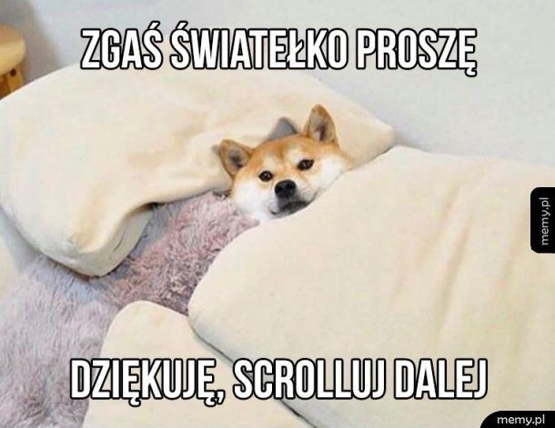 Słynny "pieseł" nie żyje. Wspominamy memy z "piesełem" w roli głównej ...