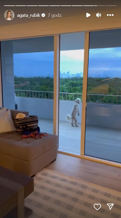 Agata i Piotr Rubikowie pokazali luksusowe mieszkanie w Miami. Ale widoki! - Plejada.pl