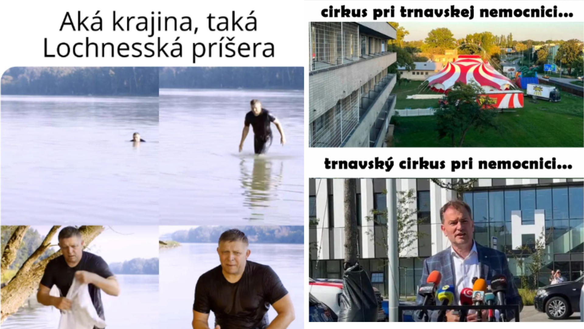 Krava do každej rodiny, Dankov najnovší brbt a Fico ako Lochnesska: TOP ...