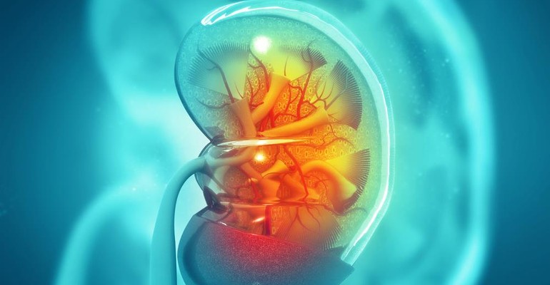 Ponad 4 mln Polaków ma chore nerki