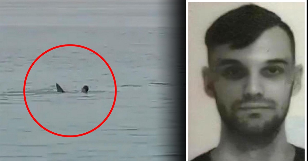 Atak rekina w Egipcie. Już wiadomo, dlaczego samica pożarła Rosjanina