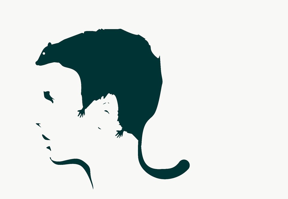 Najciekawsze iluzje optyczne. Aż się kręci w głowie od patrzenia - Kobieta