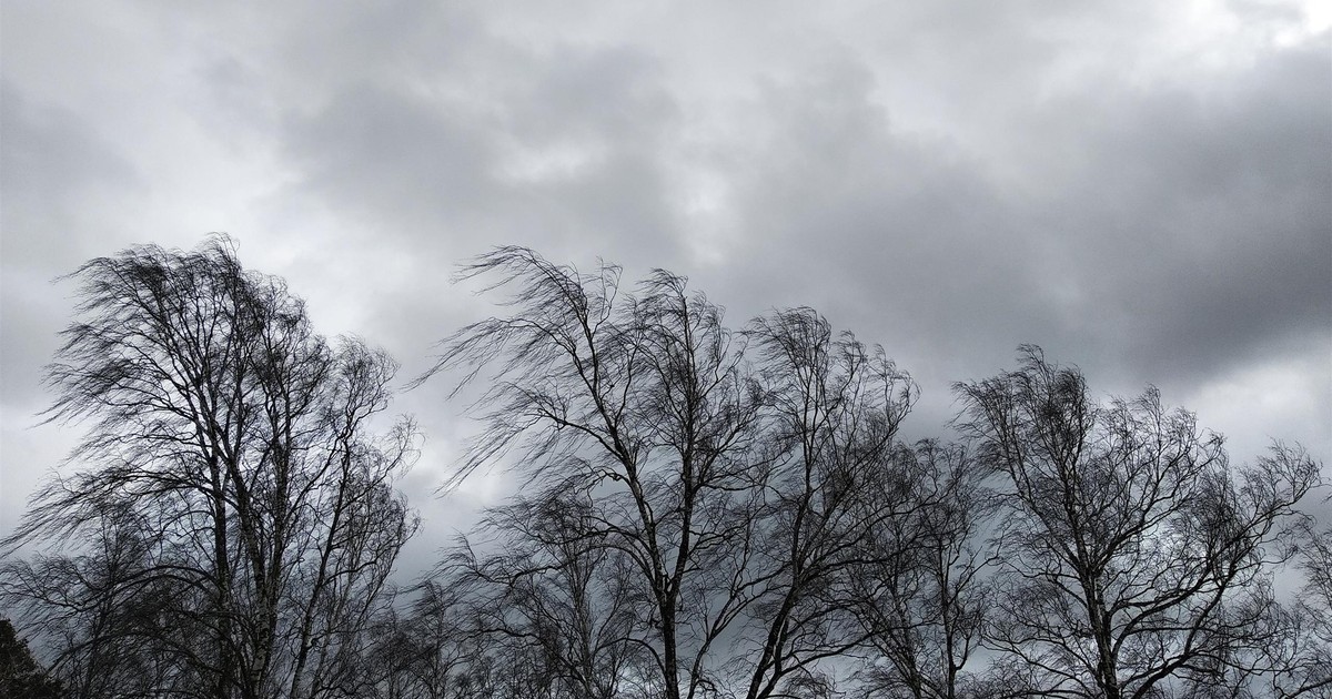 Silny wiatr w wielu rejonach Polski. IMGW wydało kolejne ostrzeżenia