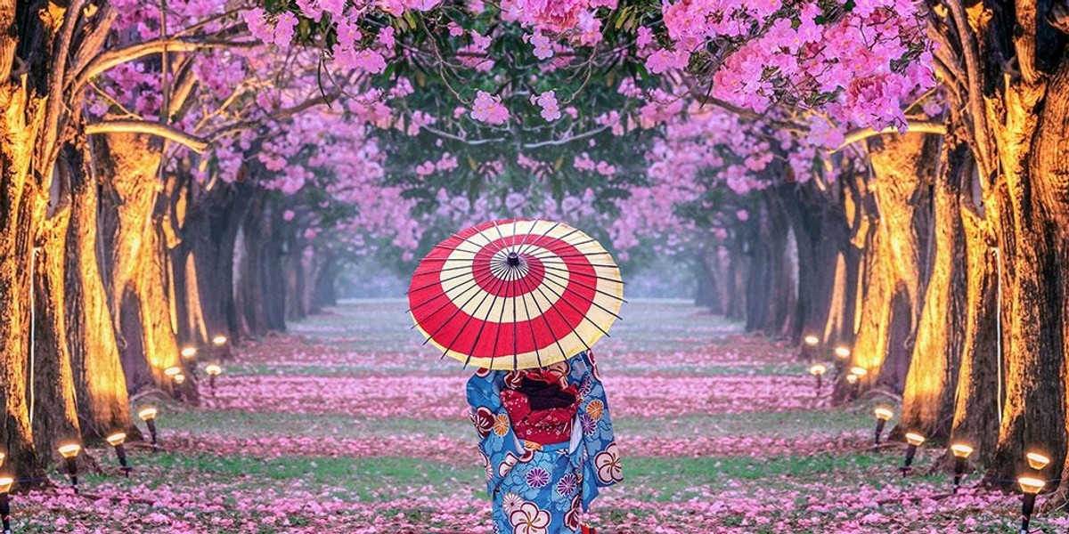 Zaplanuj urlop w Japonii. Gejsze, szoguni, samuraje i sushi