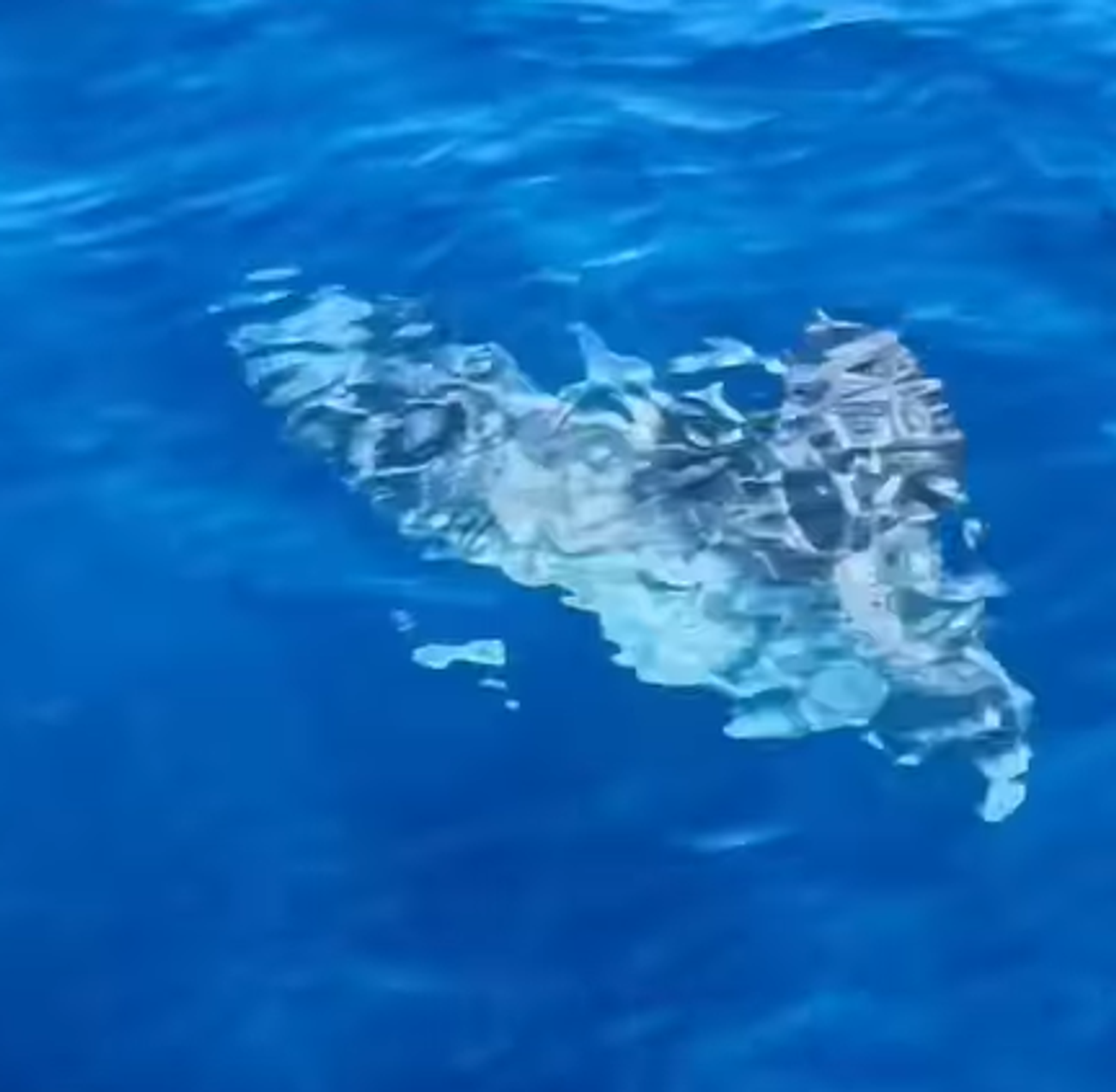 Veliki bucanj usnimljen u Jadranskom moru između Bara i Sutomora - Blic