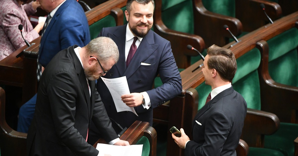 Konfederacja. Wybory. "Partia buntu" ma ambitny plan - Wiadomości