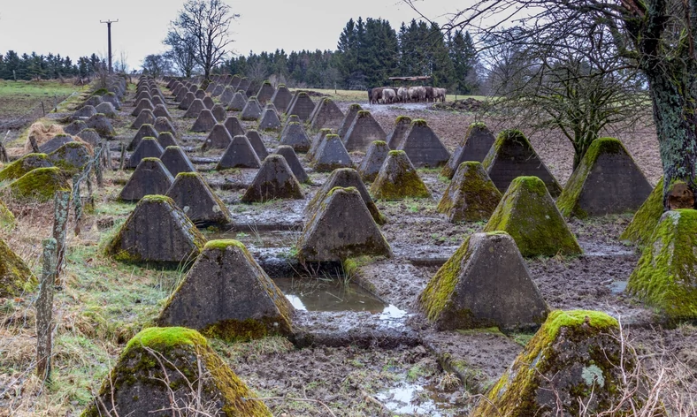 Rosja szykuje się na trudną zimę? Siły Putina budują "zęby smoka"