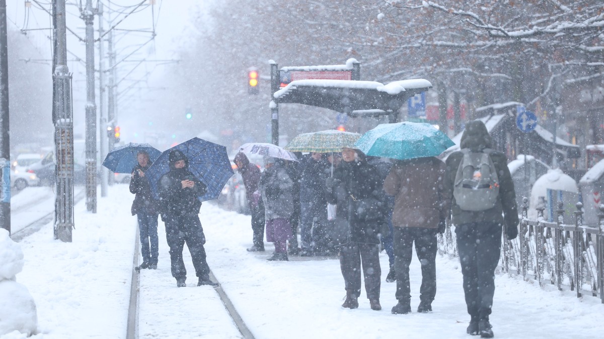 (Mape) Retrogradni polarni vrtlog aktivira "zver sa istoka": Stiže ...