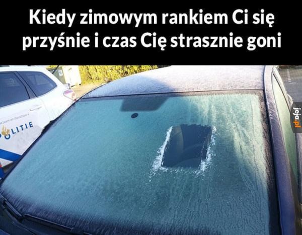 Zimno? Pora na rozgrzewającą dawkę śmiechu. Najlepsze memy o mrozie ...
