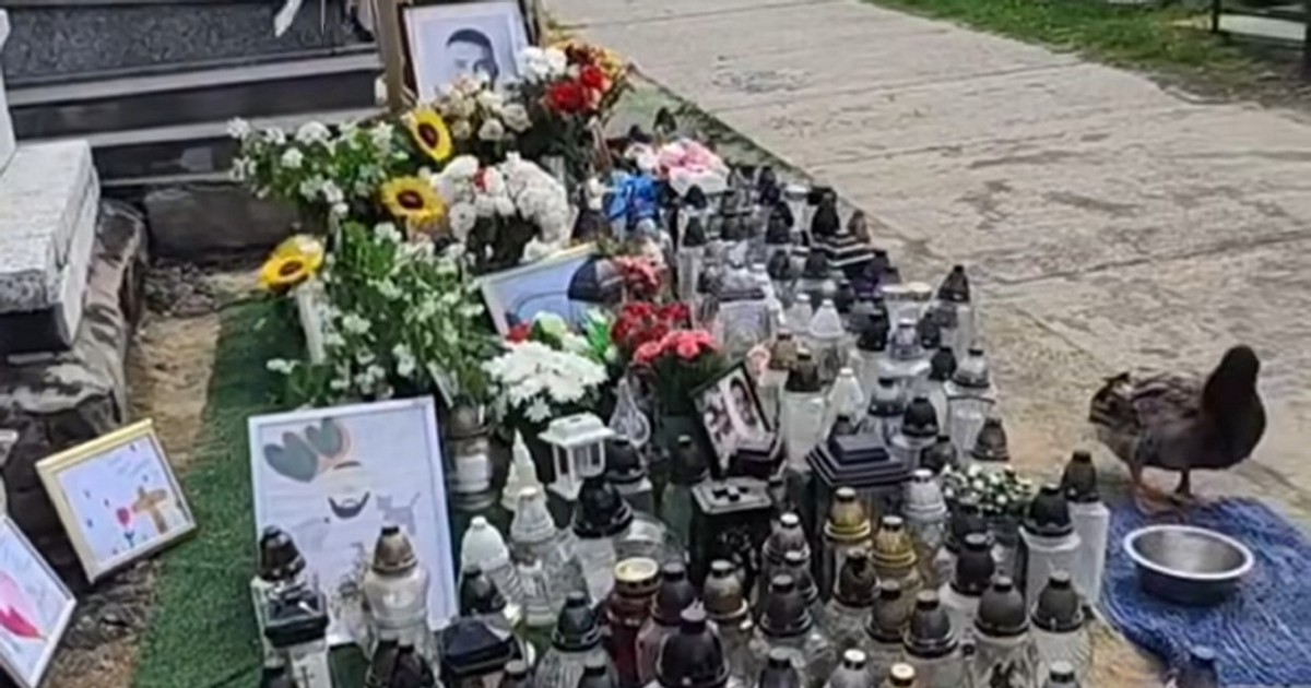 Grób Łukasza Litewki w Sosnowcu znów tonie w kwiatach i zniczach