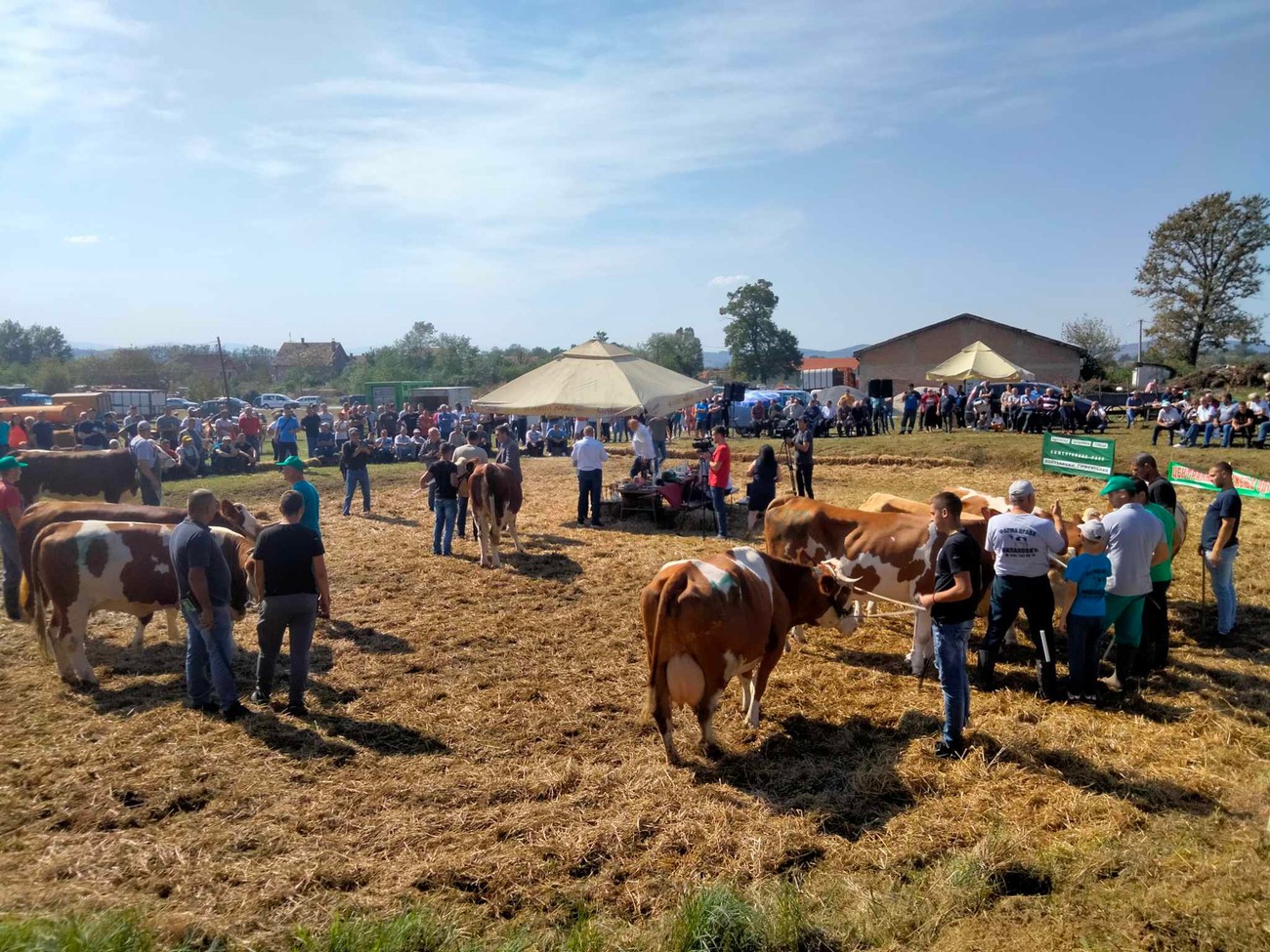 Krava Lana šampion izložbe, Rubi najbolja junica, a Mara najkvalitenija ...