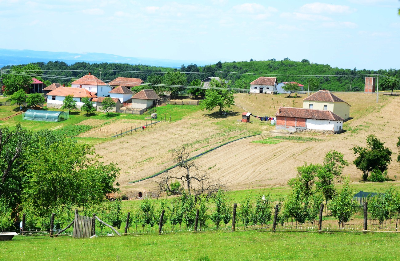 Priča dvojice komšija iz sela u Banatu vraća veru u dobre i humane ...