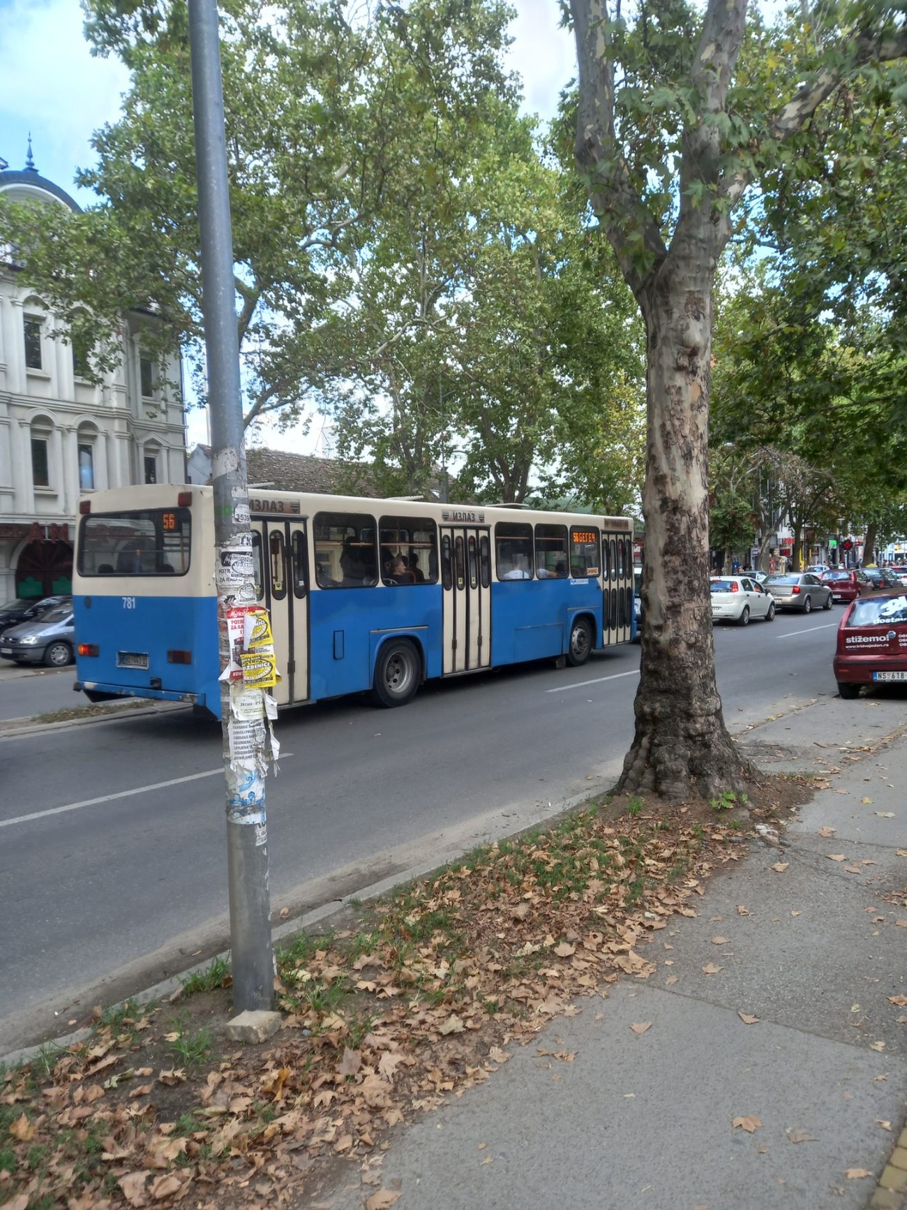 Autobusi izmenjenom trasom zbog Futoške kupusijade, EVO NA KOJI NAČIN - Blic