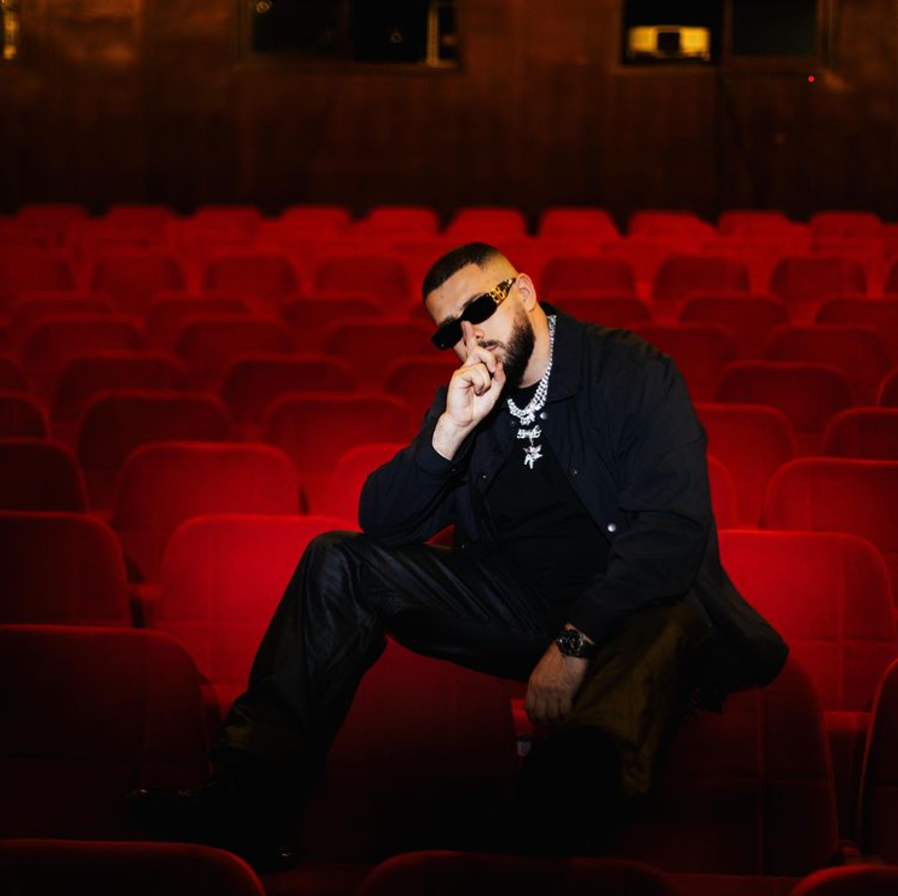 Sajfer objavio prvi deo albuma "Anima" - Blic