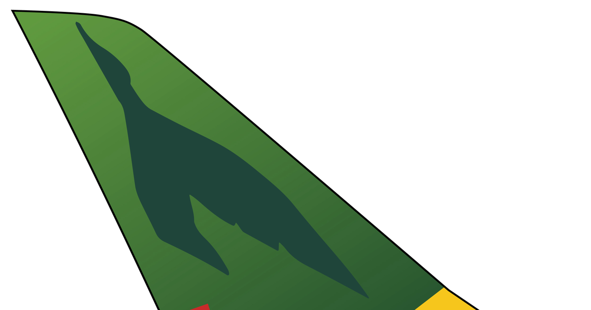 Camair-Co will Flotte mehr als verdoppeln | aeroTELEGRAPH