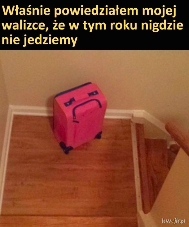 Najlepsze memy o urlopie. Rozbawią cię do łez! - Kobieta