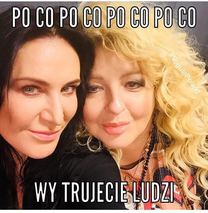 Najlepsze memy z Magdą Gessler. Gwiazda "Kuchennych rewolucji" rozbawia ...