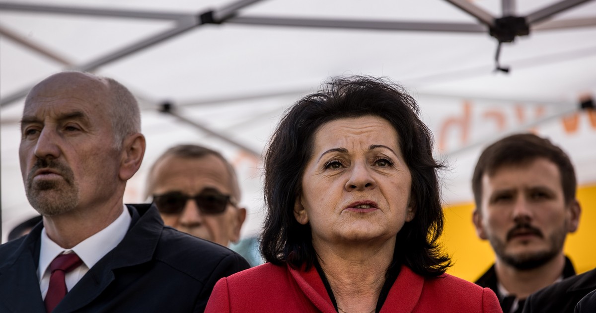 Sejmowe fuchy posłanki PiS Anny Paluch. Zarobiła tak już ponad 80 tys. zł.