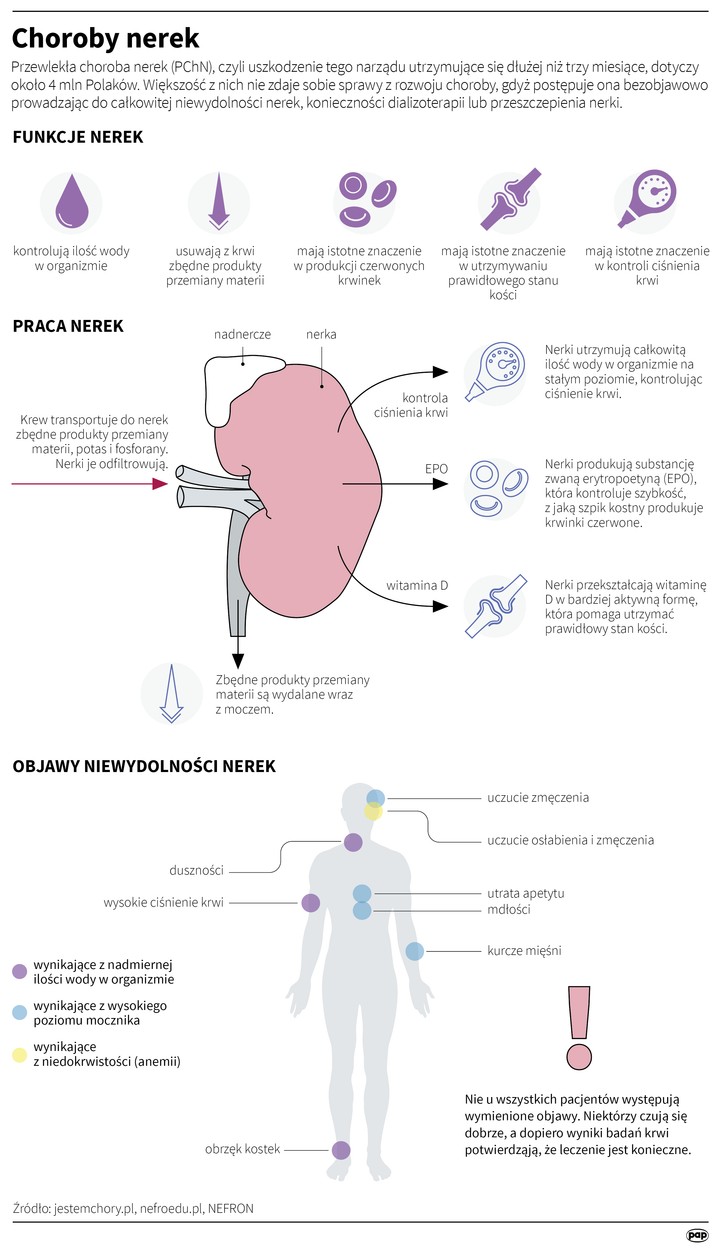 Chore nerki nie bolą. Lekarka: sygnał alarmowy zobaczysz, oddając mocz