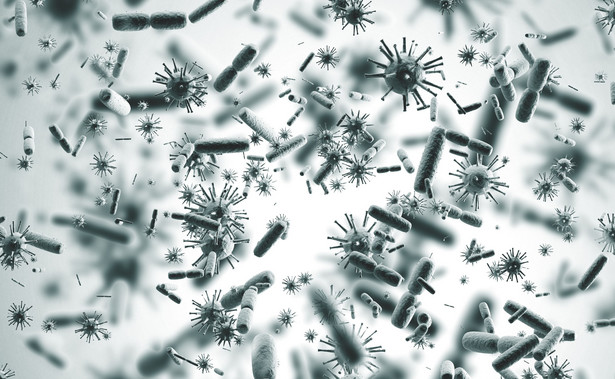 Ekspertka: Nie mamy pewności, jakie konkretnie wirusy obecnie dominują ...